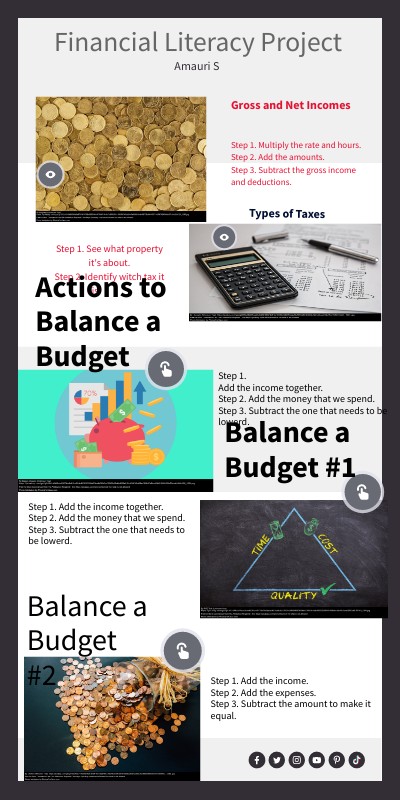 Financial Literacy Project