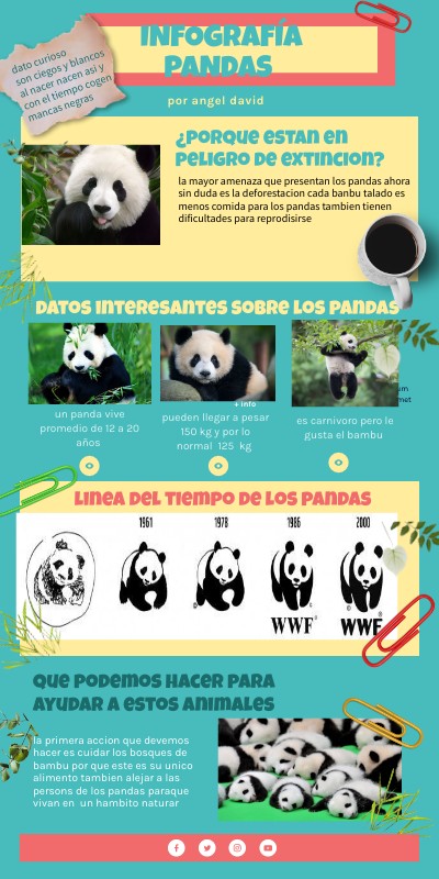 infografia pandas | Genially