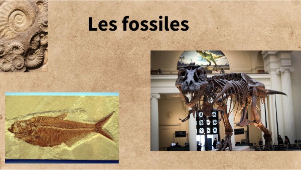 Les fossiles | Genially