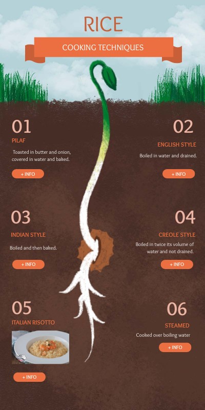 RICE PRESENTATION | Genially