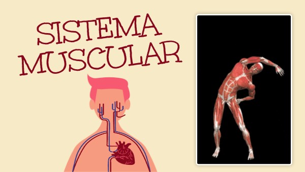 HUMAN BODY PRESENTATION | Genially