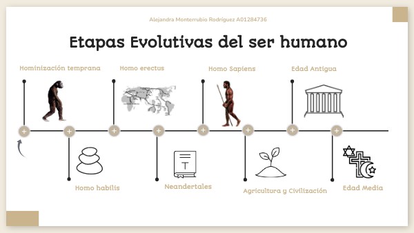 Etapas Evolutivas del ser humano | Genially