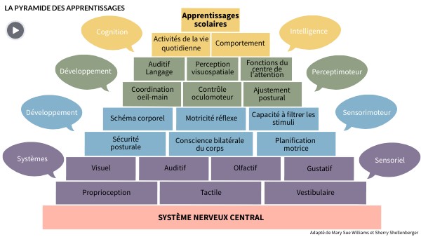 Pyramide de l'apprentissage | Genially