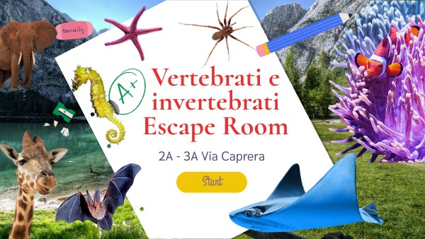 Animal Escape Room Educativo | Genially