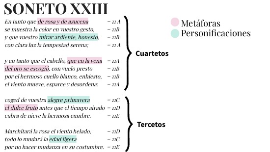 SONETO XXIII