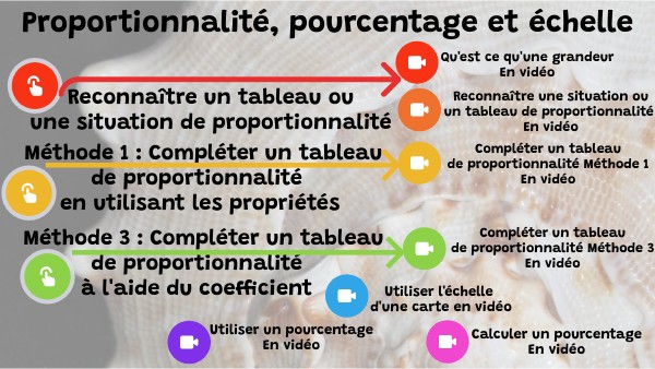 Proportionnalité, pourcentage et échelle | Genially