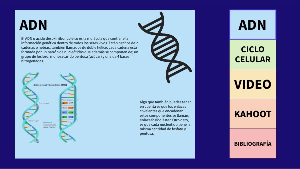 ADN y Ciclo Celular | Genially