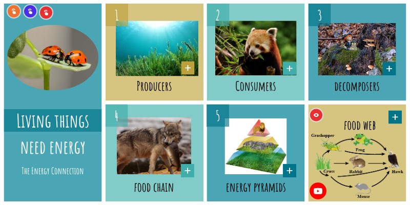 Living things need energy