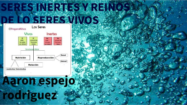 PRESENTACIÓN BÁSICA