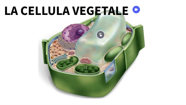 CELLULA VEGETALE | Genially