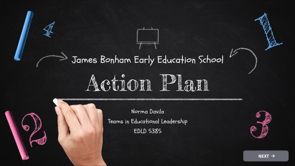 Action Plan