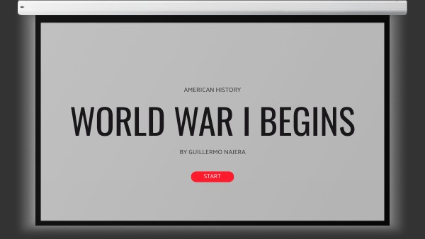 WORLD WAR I BEGINS