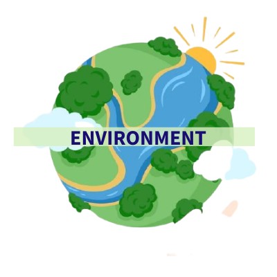 The Environment Flashcards | Genially