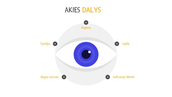 Integruotas IT ir biologijos projektas 7C "Akis" | Genially