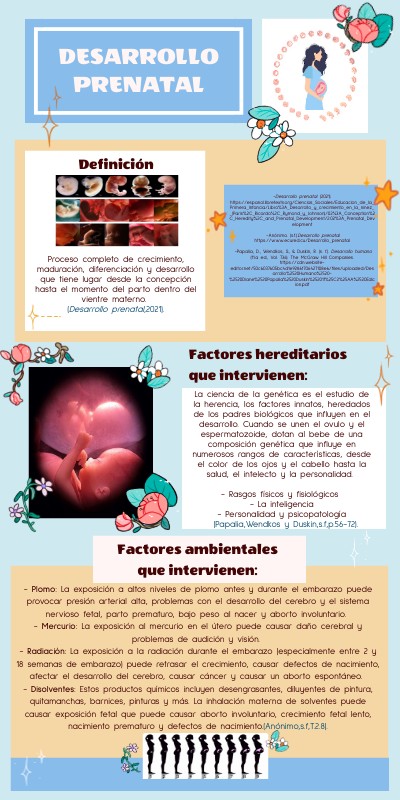 INFO KAWAII | Genially