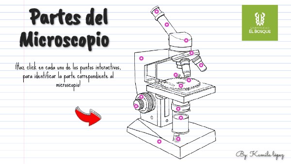 Partes del Microscopio