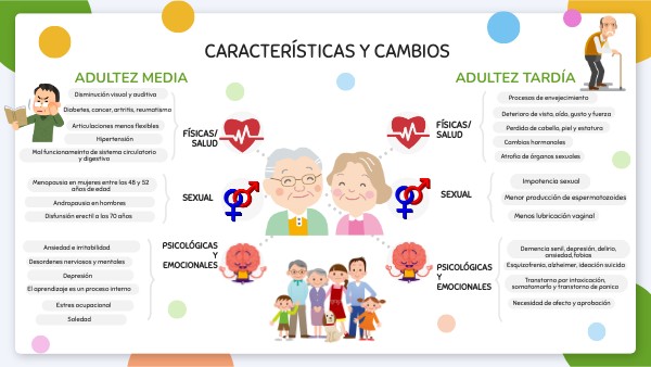 ADULTEZ MEDIA Y TARDÍA | Genially