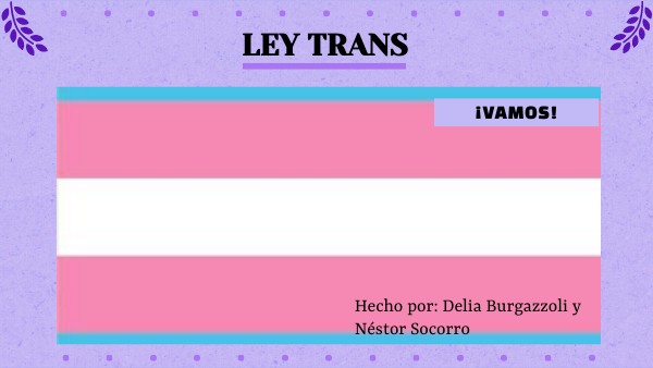 la ley trans