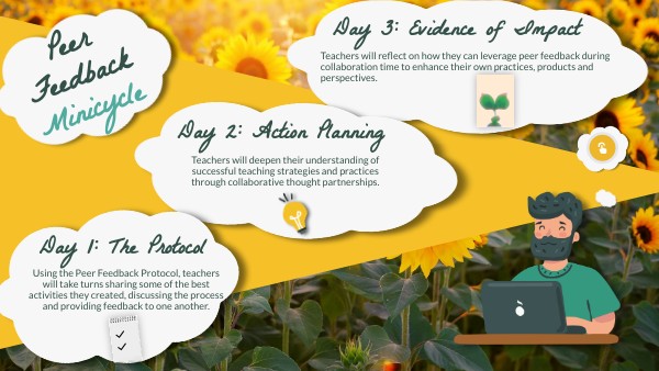 Peer Feedback Minicycle