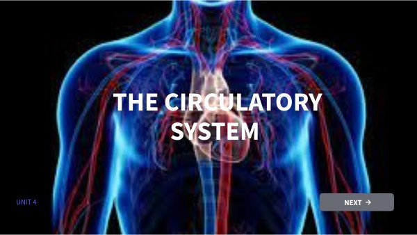 THE CIRCULATORY SYSTEM | Genially