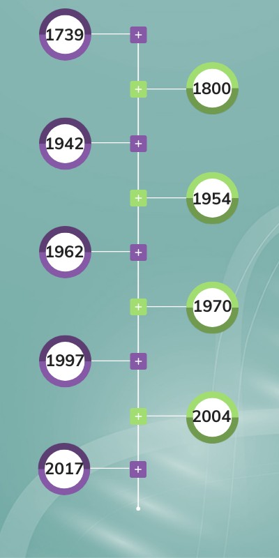 TEMPORARY ANIMATED LINE | Genially