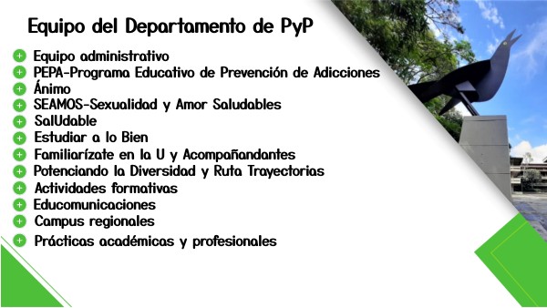 Equipo PyP