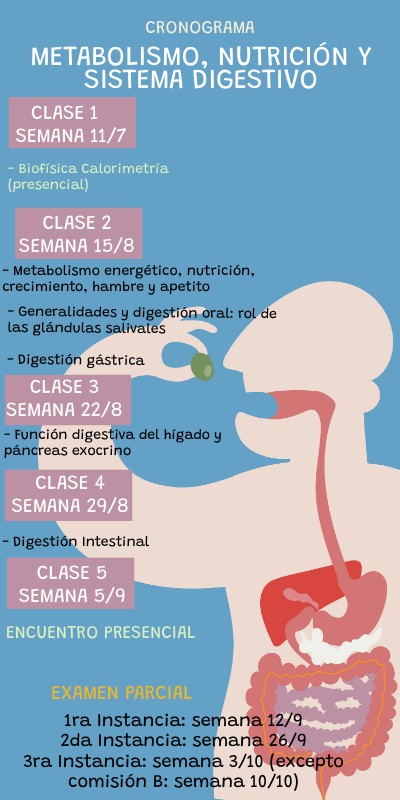 Cronograma MND 2021 | Genially