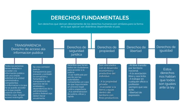 derechos fundamentales | Genially