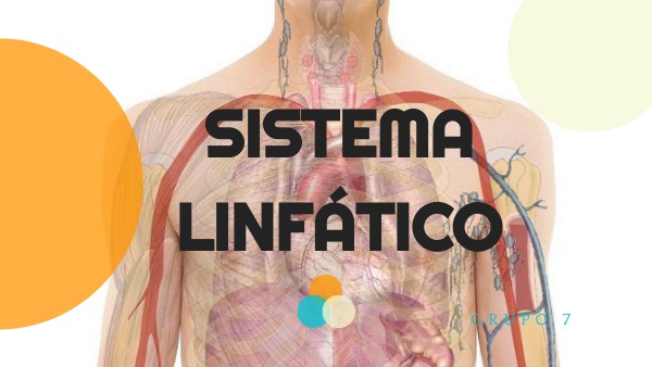 Intersticio y líquido intersticial