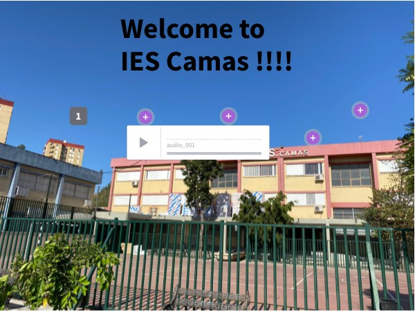 IES CAMAS WITH GENIALLY