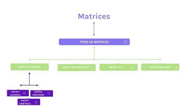 MAPA CONCEPTUAL Matrices