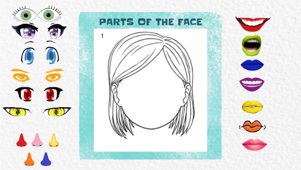 Parts of the face