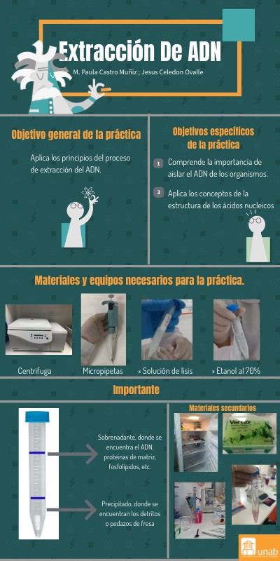 Infografía Extracción de ADN | Genially