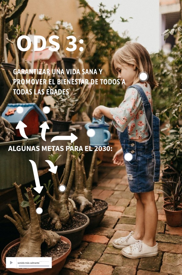 ODS 3