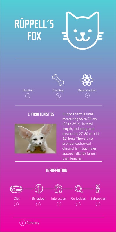 Nalany and Verónica´s proyect | Genially