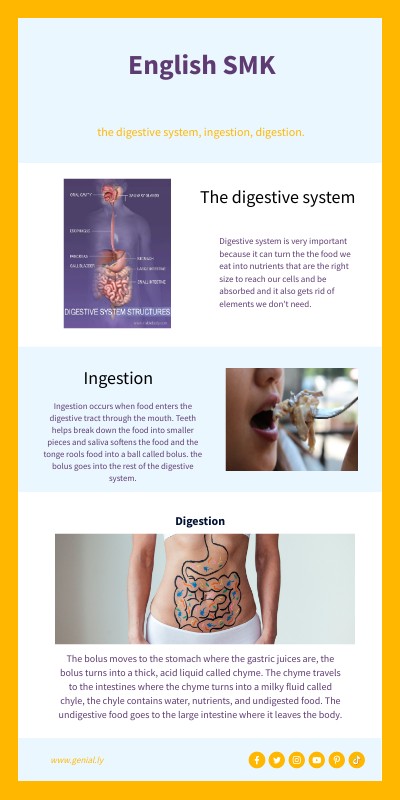 BASIC INFOGRAPHIC | Genially