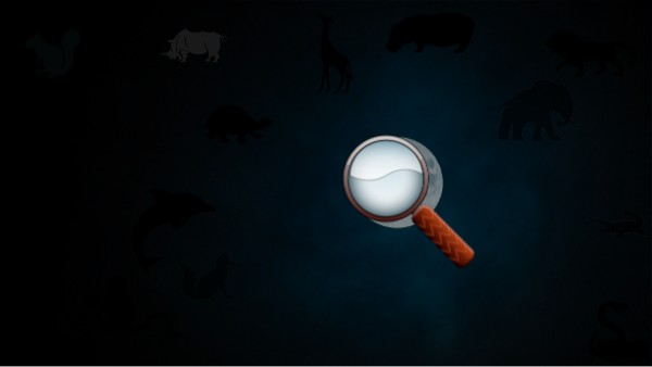 Animal shadows | Genially