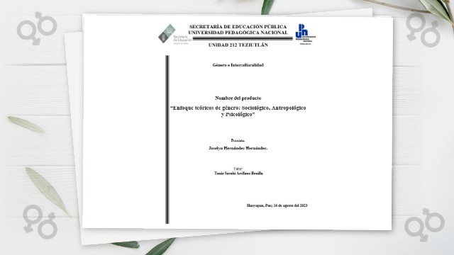 Enfoques teóricos de género