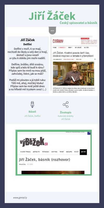 BASIC INFOGRAPHIC | Genially