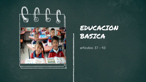 articulos 37 - 43