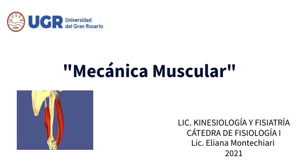 mecánica muscular