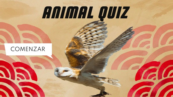 Animal quiz Gloria