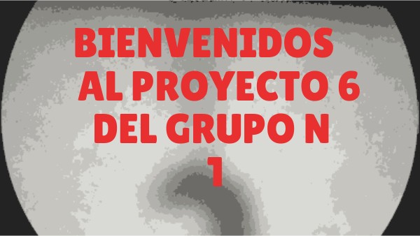 PROYECTO 6