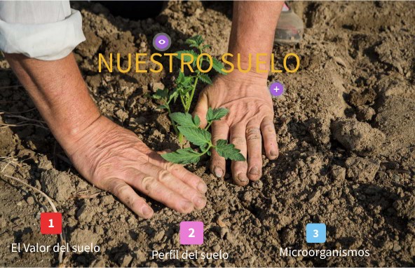 EL SUELO | Genially