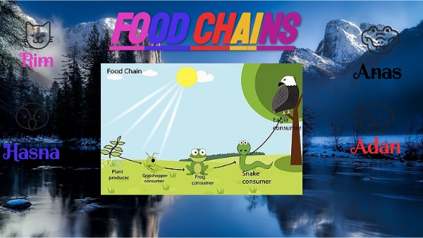 Food chain