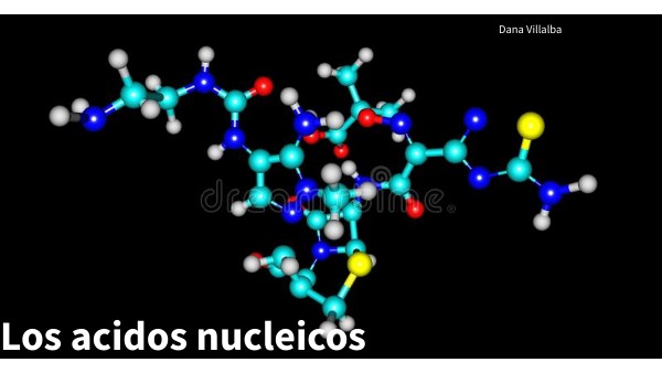 Acidos Nucleicos