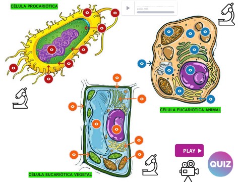 Tipos de células | Genially