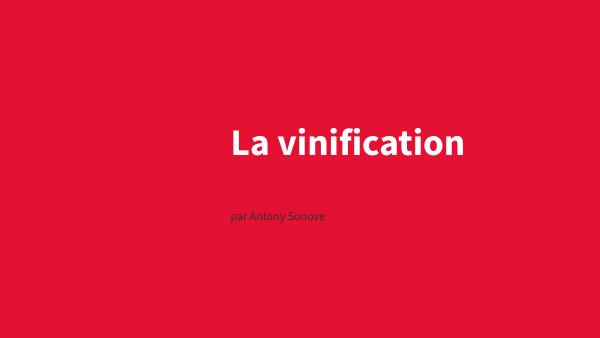 La vinification