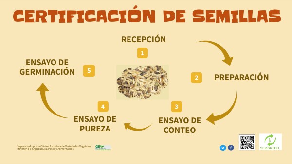 Certificación de Semillas | Genially