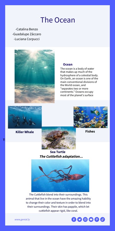 The Ocean | Genially